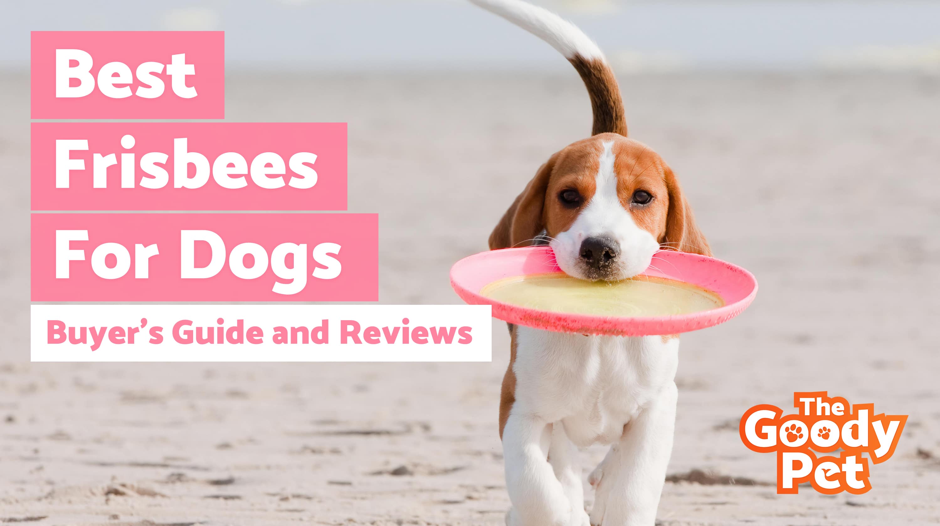 7 Best Dog Frisbees (December 2019) | TheGoodyPet