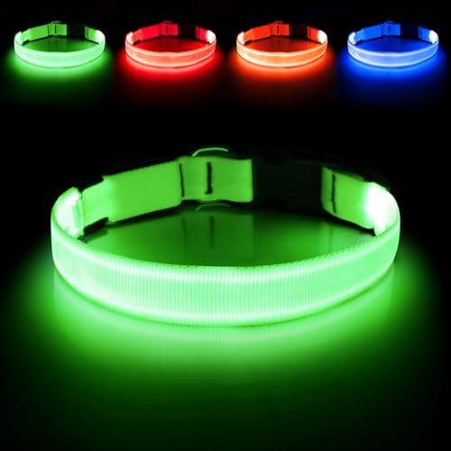 7 Best Glow-In-The-Dark Dog Collars (January 2024: Reviews) - The Goody Pet