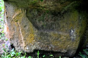 Extinct Dog Breeds: 49 Dogs You've Never Heard Of - The Goody Pet