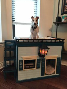 47 DIY Dog House Plans That Anyone Can Build - The Goody Pet