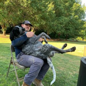 American Blue Gascon Hound - Your Complete Breed Guide To Gascon ...