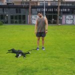 Labrador Boxer Mix - Your Complete Boxador Breed Guide - The Goody Pet