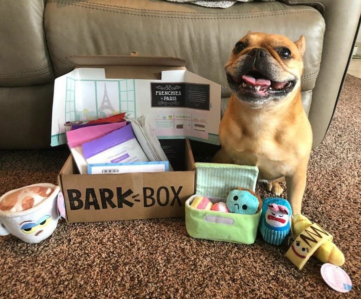 Barkbox Review: Is It Worth It? (June 2022: Reviews) - The Goody Pet