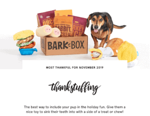 Barkbox Review: Is It Worth It? (September 2025: Reviews) - The Goody Pet
