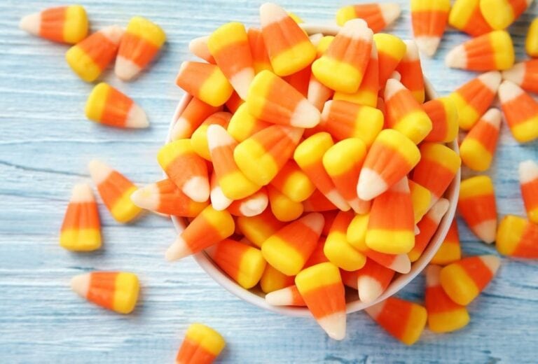 Can Dogs Eat Candy Corn? Here's Why They Should Avoid, Especially ...