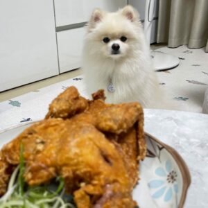 Can Dogs Eat Fried Chicken? The Shocking Truth Behind Its Consumption ...