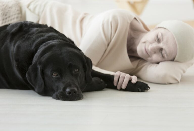 Can Dogs Smell Cancer? Here's How They React - The Goody Pet