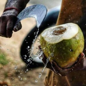 9 Effective Home Remedies For Dog Vomiting - The Goody Pet