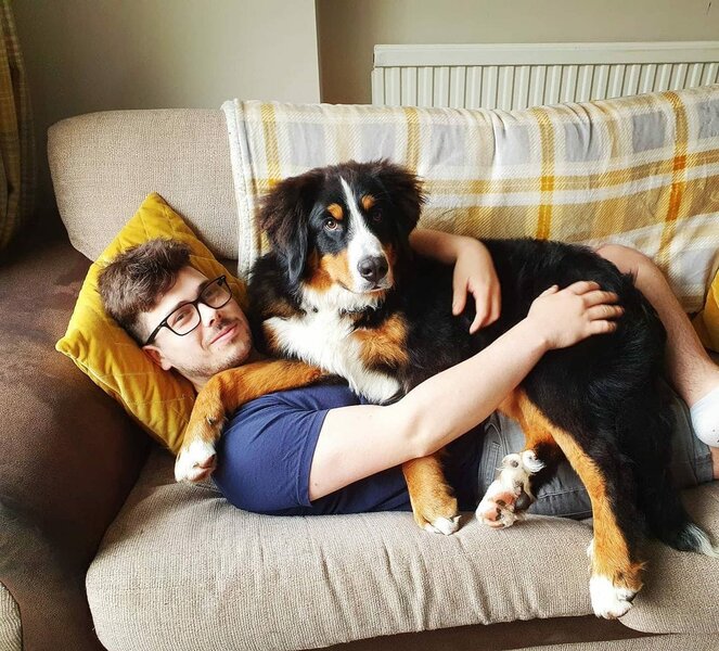 Does Your Dog Love You? 22 Ways Dogs Show Love - The Goody Pet