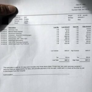 Average Cost Of A Dog Vet Visit [Updated: 2022] - The Goody Pet