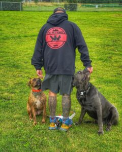 9 Dog Training Techniques: Fast & Easy! - The Goody Pet