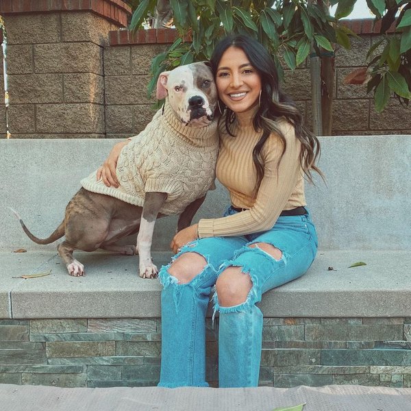 26 Weird & Unusual Dog Mixes You Find Them Hard To Believe - The Goody Pet
