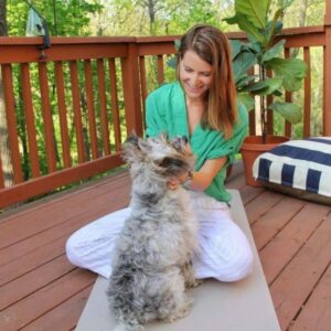 How long are Yorkies pregnant? A Guide To Yorkie Pregnancy - The Goody Pet