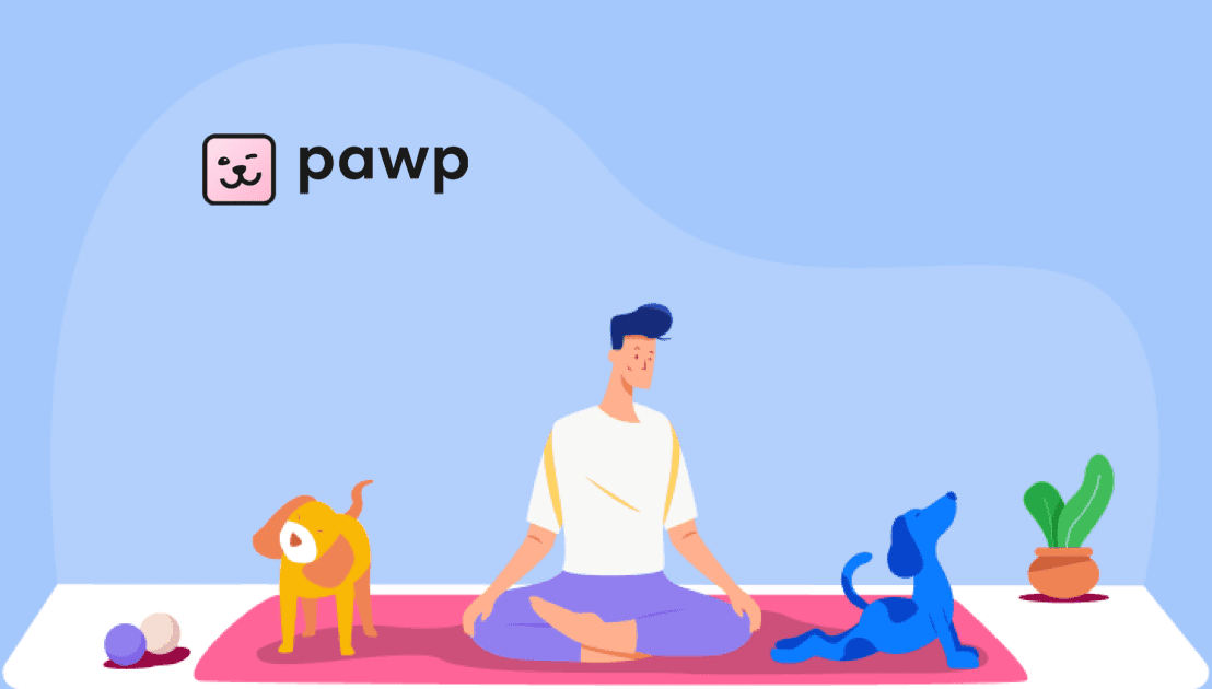 Pawp Pet Insurance Review 2022 (April 2022: Reviews) - The Goody Pet