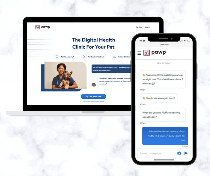 Pawp Pet Insurance Review 2022 (April 2022: Reviews) - The Goody Pet