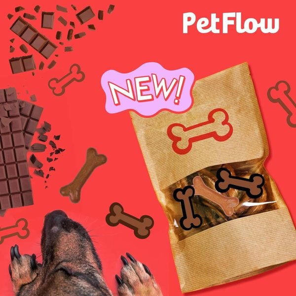 22 Fresh Dog Food Delivery Brands To Pamper Your Beloved Pooch - The ...