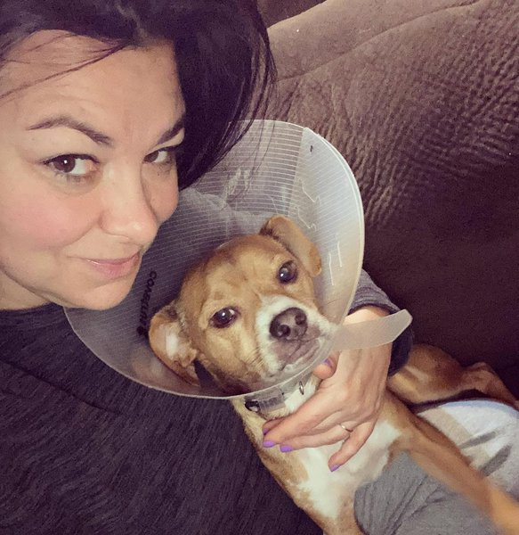 Rat Terrier Beagle Mix - Your Complete Breed Guide To The Raggle - The ...