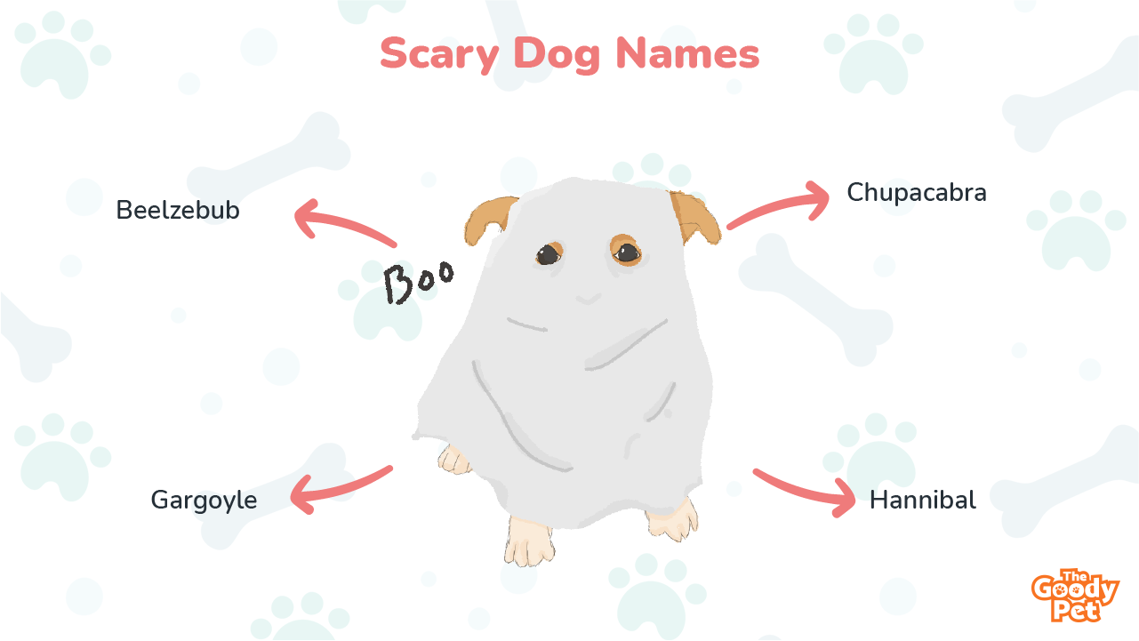 231 Scary Dog Names That Give People The Chills The Goody Pet