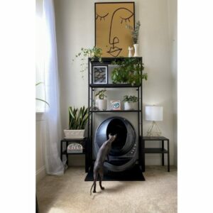 46 Clever And Creative Ways To Hide Your Cat Litter Box - The Goody Pet