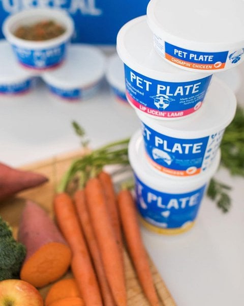 8 Best High-Fiber Dog Foods (February 2024: Reviews) - The Goody Pet