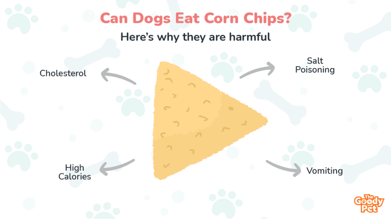 Can Dogs Eat Corn Chips? Here's Why They Are Harmful - The Goody Pet