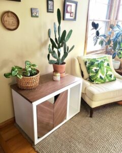 46 Clever And Creative Ways To Hide Your Cat Litter Box - The Goody Pet