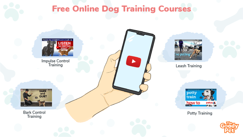 12 FREE Online Dog Training Courses [2024] - The Goody Pet
