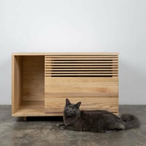 46 Clever And Creative Ways To Hide Your Cat Litter Box - The Goody Pet