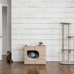 46 Clever And Creative Ways To Hide Your Cat Litter Box - The Goody Pet