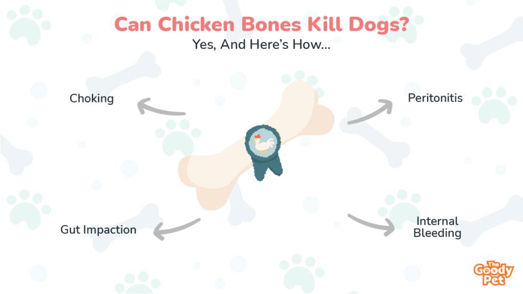 My Dog Ate A Chicken Bone: What To Do Next? - The Goody Pet