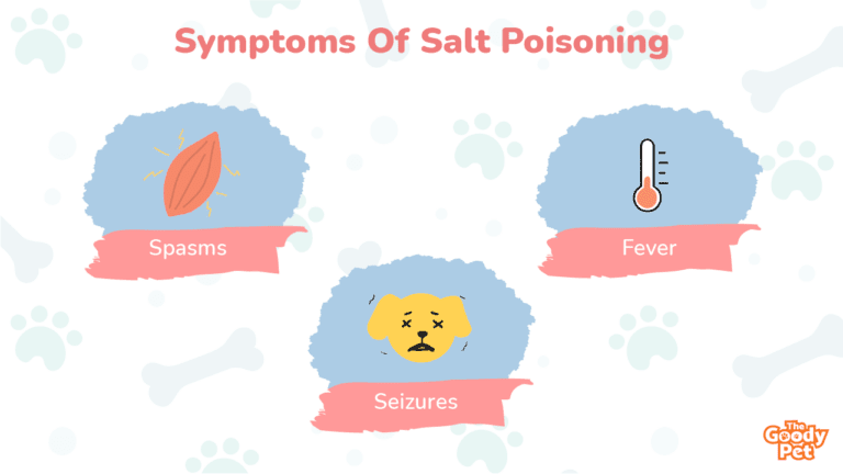 Salt Poisoning In Dogs - Causes, Symptoms & Treatment - The Goody Pet