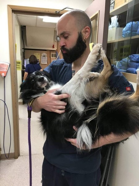 Top Veterinarians In Seattle, Washington [Updated: 2022] - The Goody Pet