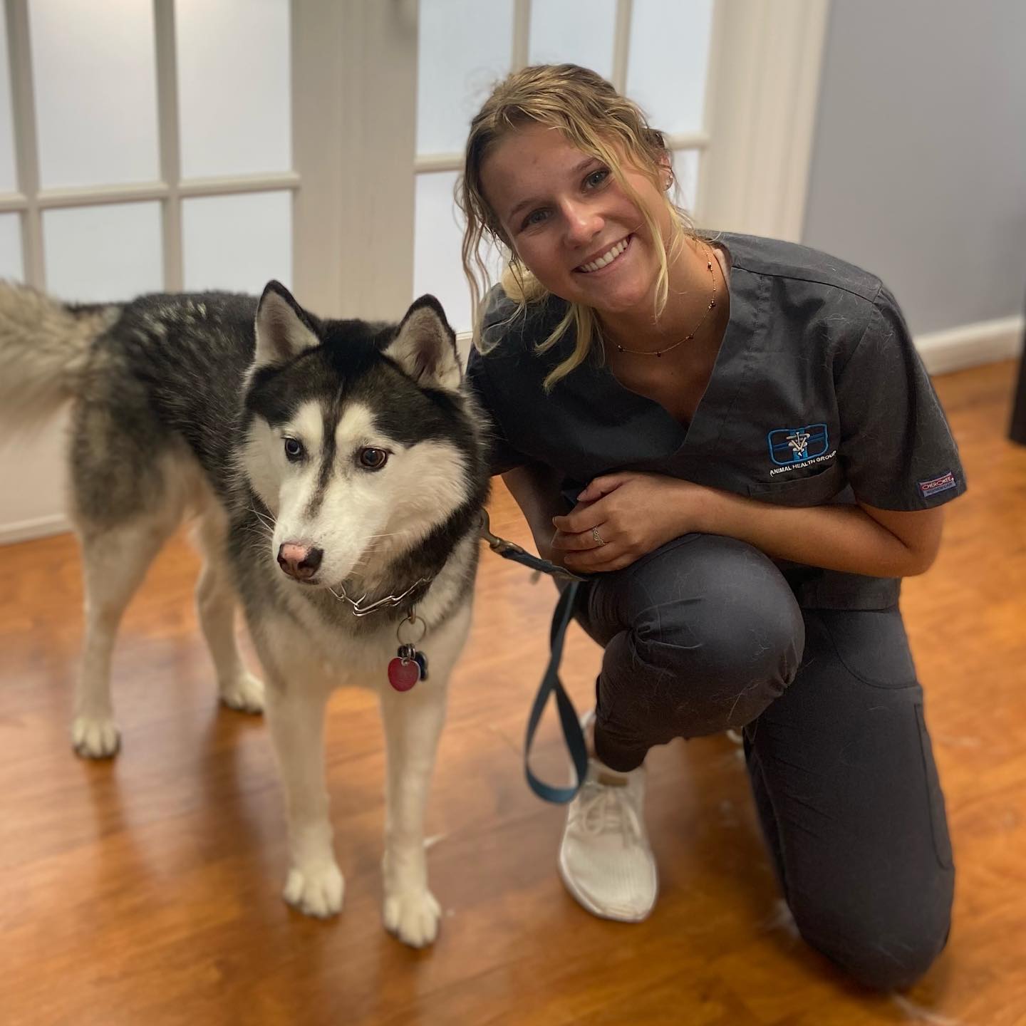 Top 17 Veterinarians In Staten Island, Richmond [Updated: 2022] - The ...