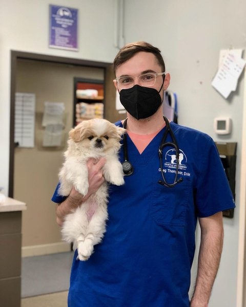 Top Veterinarians In Seattle, Washington [Updated: 2022] - The Goody Pet