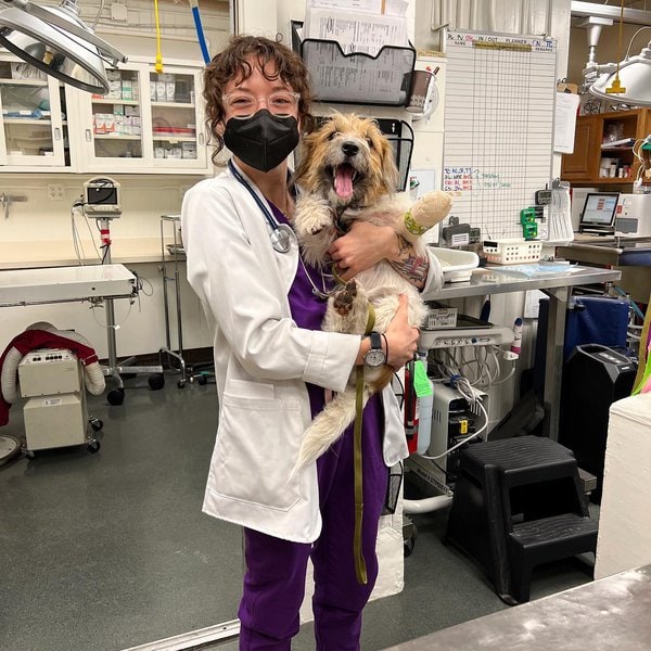 Top 22 Veterinarians In San Francisco, California [Updated: 2022] - The ...