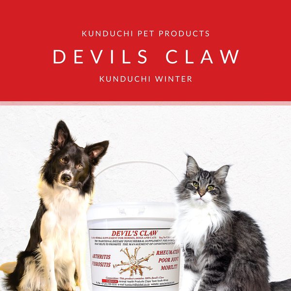 What Painkillers Are Safe For Dogs? FDA Has Approved These XX Pain ...