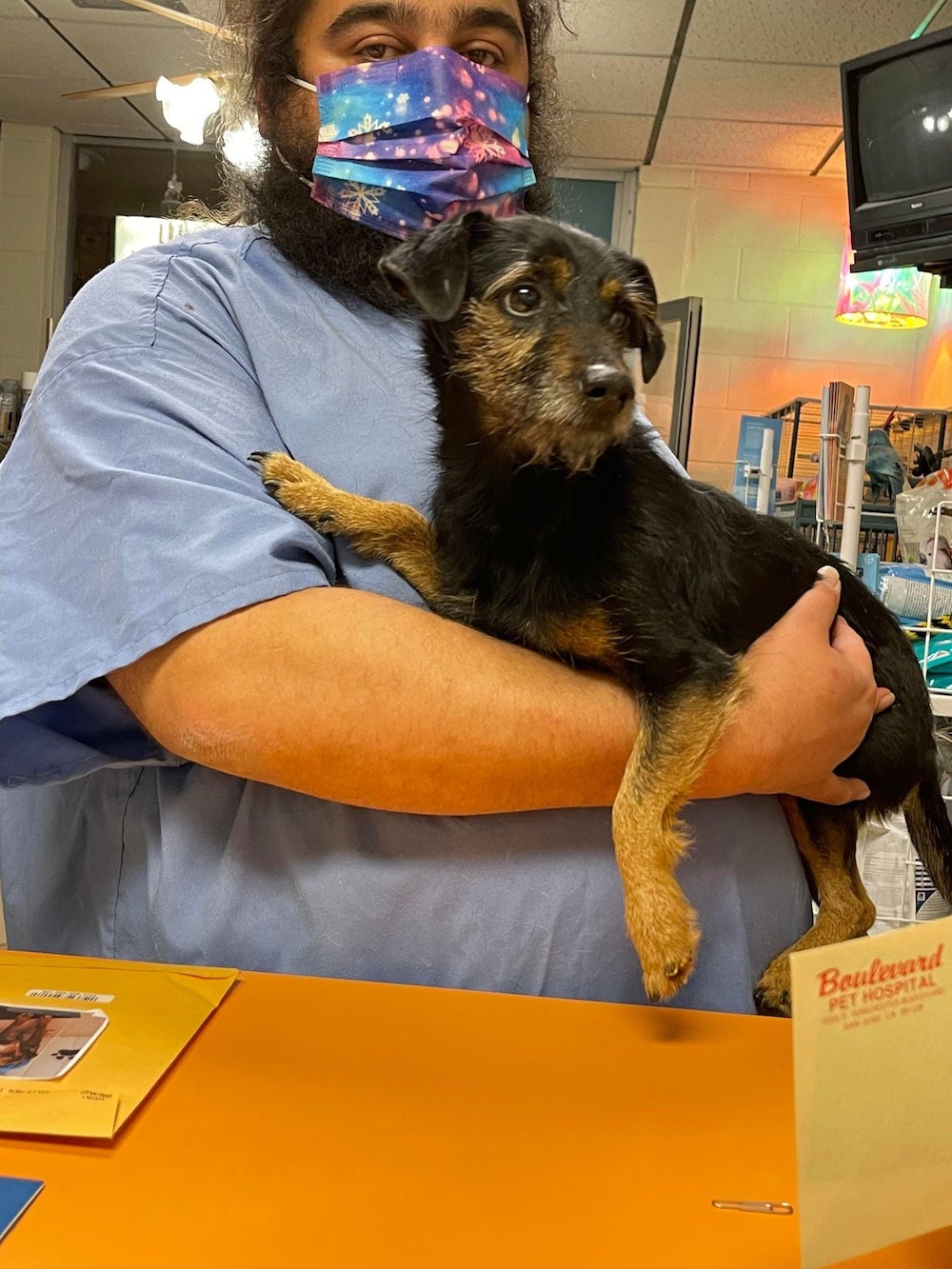 Top 26 Veterinarians In San Jose, California [Updated: 2022] - The ...