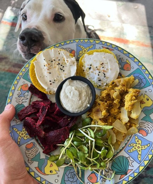 Can Dogs Eat Beets? They Sure Can, But Only In Moderation - The Goody Pet