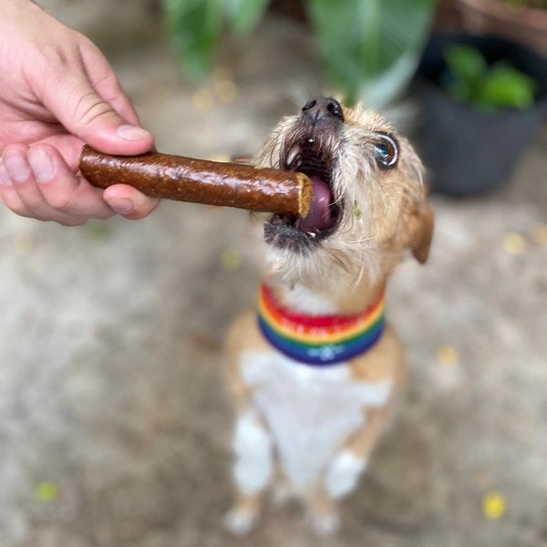 Big Lu Review: Is It Worth It? (October 2022: Reviews) - The Goody Pet