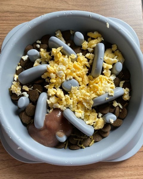 Can Dogs Eat Scrambled Eggs? 3 Top Reasons Why This Is Not A Good Idea ...