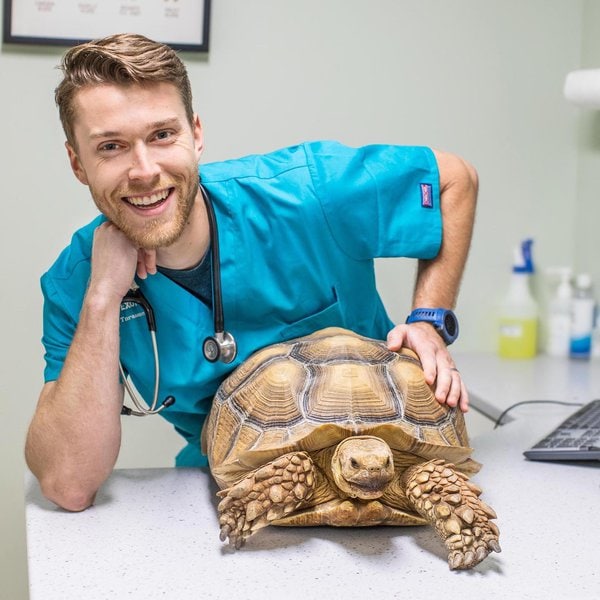 Top 17 Veterinarians In Indianapolis, Indiana [Updated: 2022] - The ...