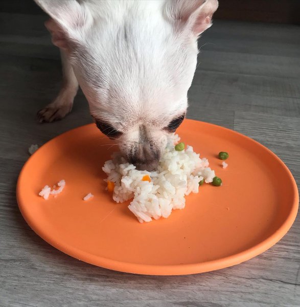 Can Dogs Eat Peas And Carrots? Here's Why They Can - The Goody Pet