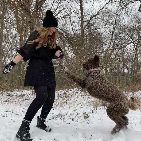 Ruff Greens Review: Is It Worth It? (May 2025: Reviews) - The Goody Pet