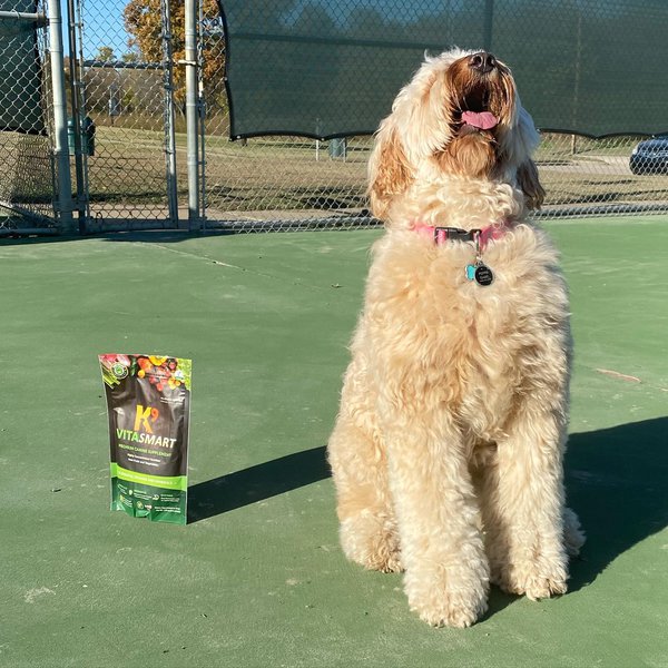 Ruff Greens Review: Is It Worth It? (May 2025: Reviews) - The Goody Pet