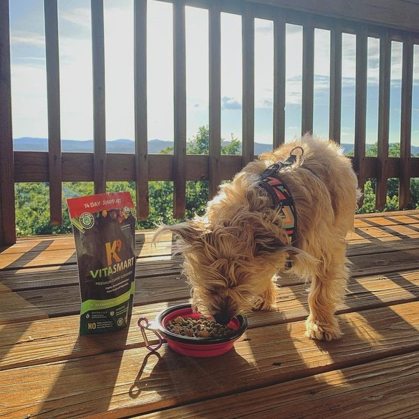 Ruff Greens Review: Is It Worth It? (May 2025: Reviews) - The Goody Pet