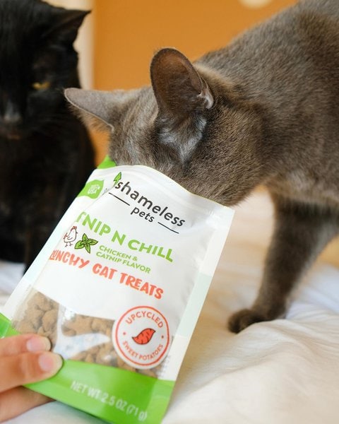 Shameless Pets Review: Is It Worth It? (May 2025: Reviews) - The Goody Pet