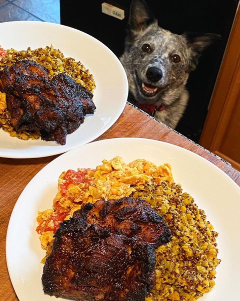 Can Dogs Have Quinoa? Three Top Reasons Why This Is Such A Good Idea ...
