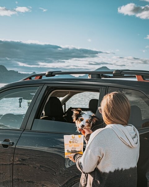 Shameless Pets Review: Is It Worth It? (May 2025: Reviews) - The Goody Pet