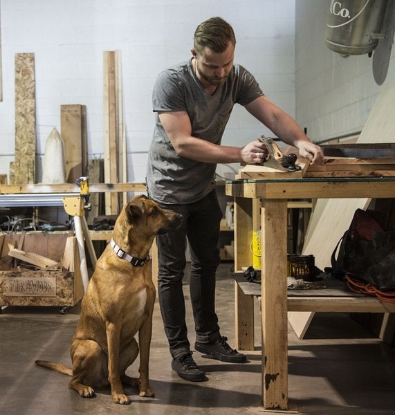 Rhodesian Ridgeback Temperament And Personality - 11 Awesome Traits You ...