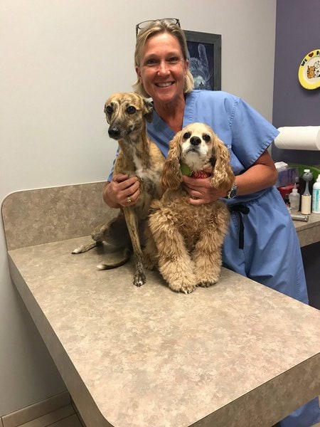 Top 17 Veterinarians In Indianapolis, Indiana [Updated: 2022] - The ...